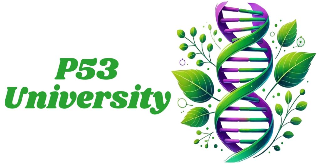 Intro to the P53 Diet – P53 University